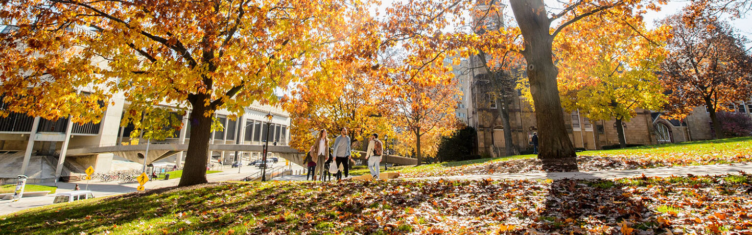 University Health Services – Promote, Protect and Restore Health & Well ...